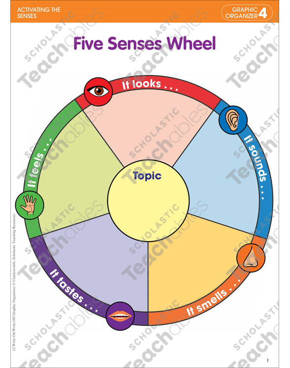 5 Senses Clipart Descriptive Writing 5 Senses Descriptive Writing 5 Senses Clipart Descriptive Writing 5 Senses Descriptive Writing