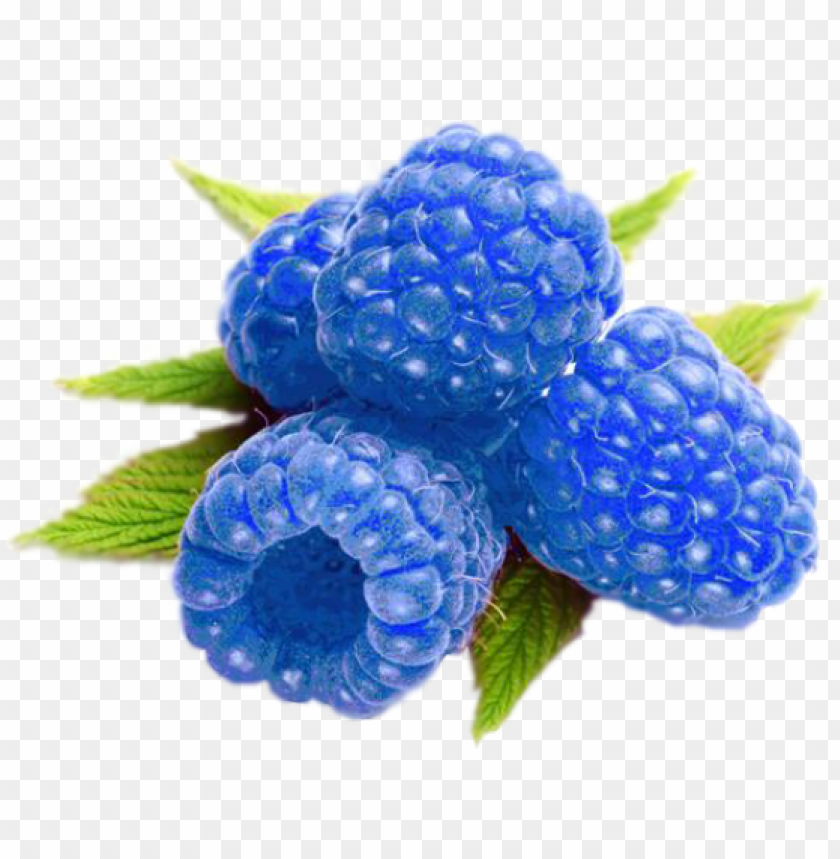 Blueberry clipart blue raspberry, Picture #2307274 blueberry clipart ...