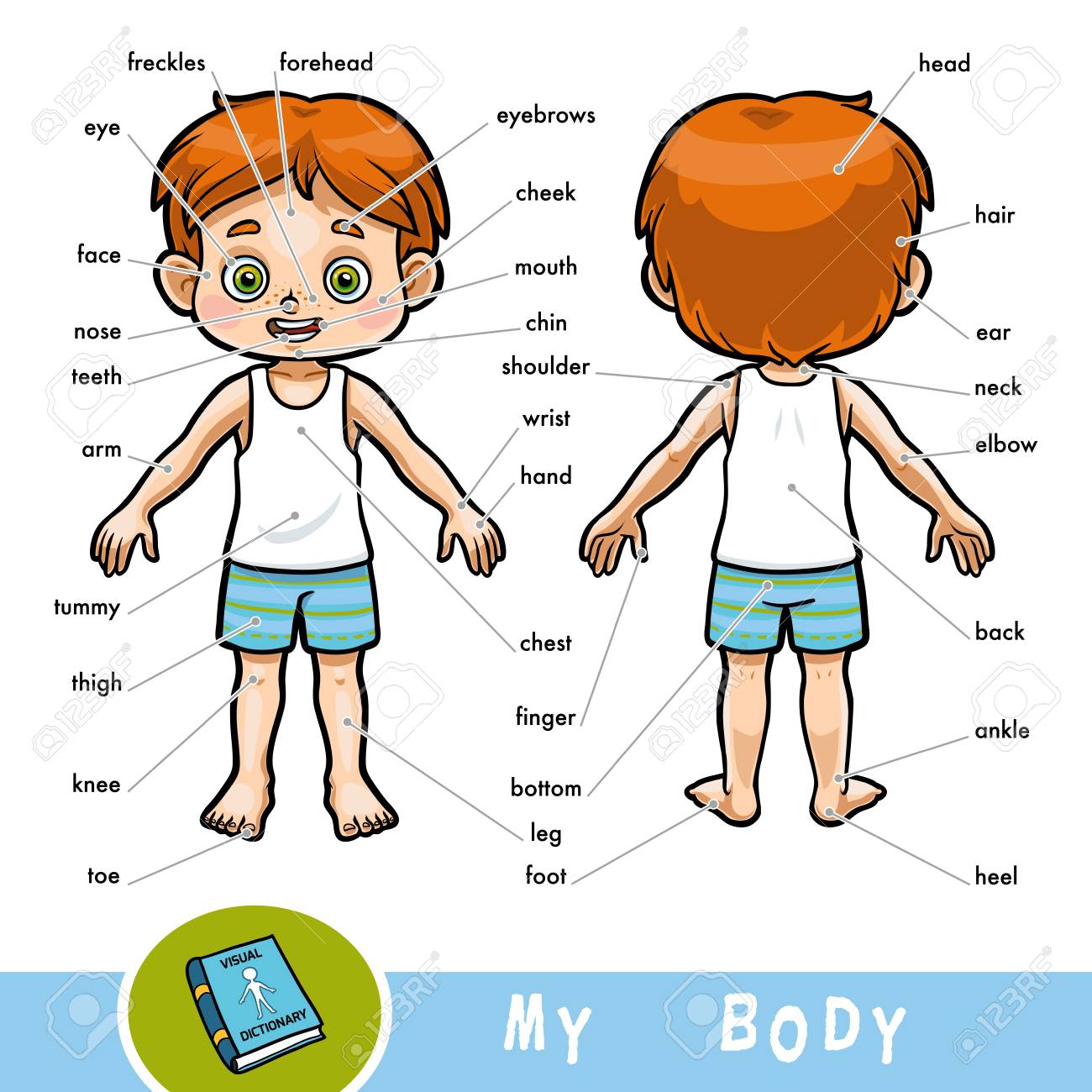 Body clipart animated, Picture #2308706 body clipart animated