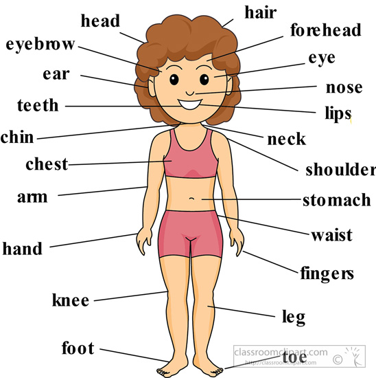 Body Clipart Labelling Body Labelling Transparent FREE For Download On Body Clipart Labelling Body Labelling Transparent FREE For Download On