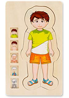 Body clipart puzzle, Picture #2308704 body clipart puzzle
