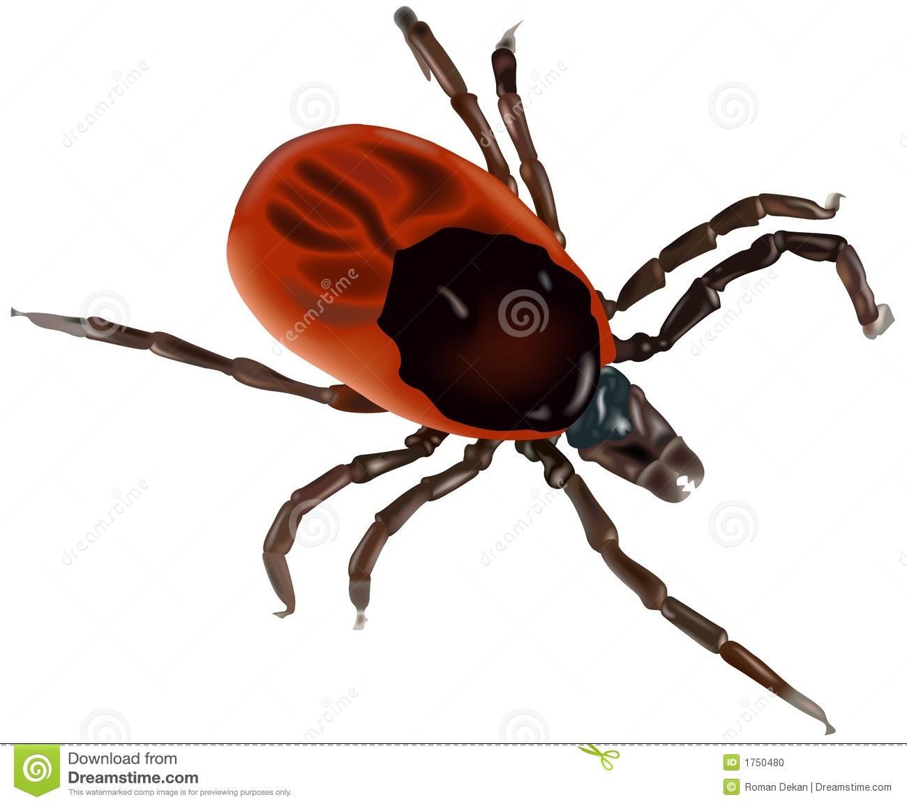 Bug Clipart Tick Bug Tick Transparent FREE For Download On Bug Clipart Tick Bug Tick Transparent FREE For Download On