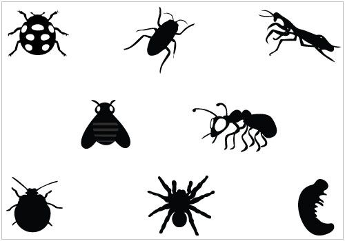 Bugs clipart vector, Picture #2324316 bugs clipart vector