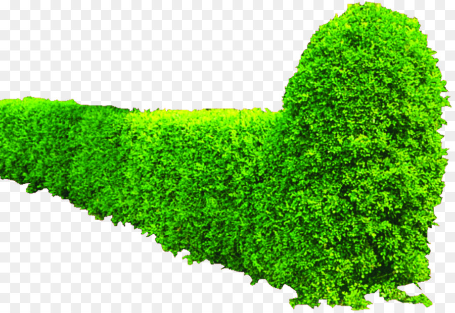 Bushes clipart hedges, Bushes hedges Transparent FREE for download on ...