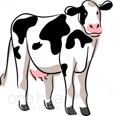 Cows clipart realistic, Cows realistic Transparent FREE for download on ...