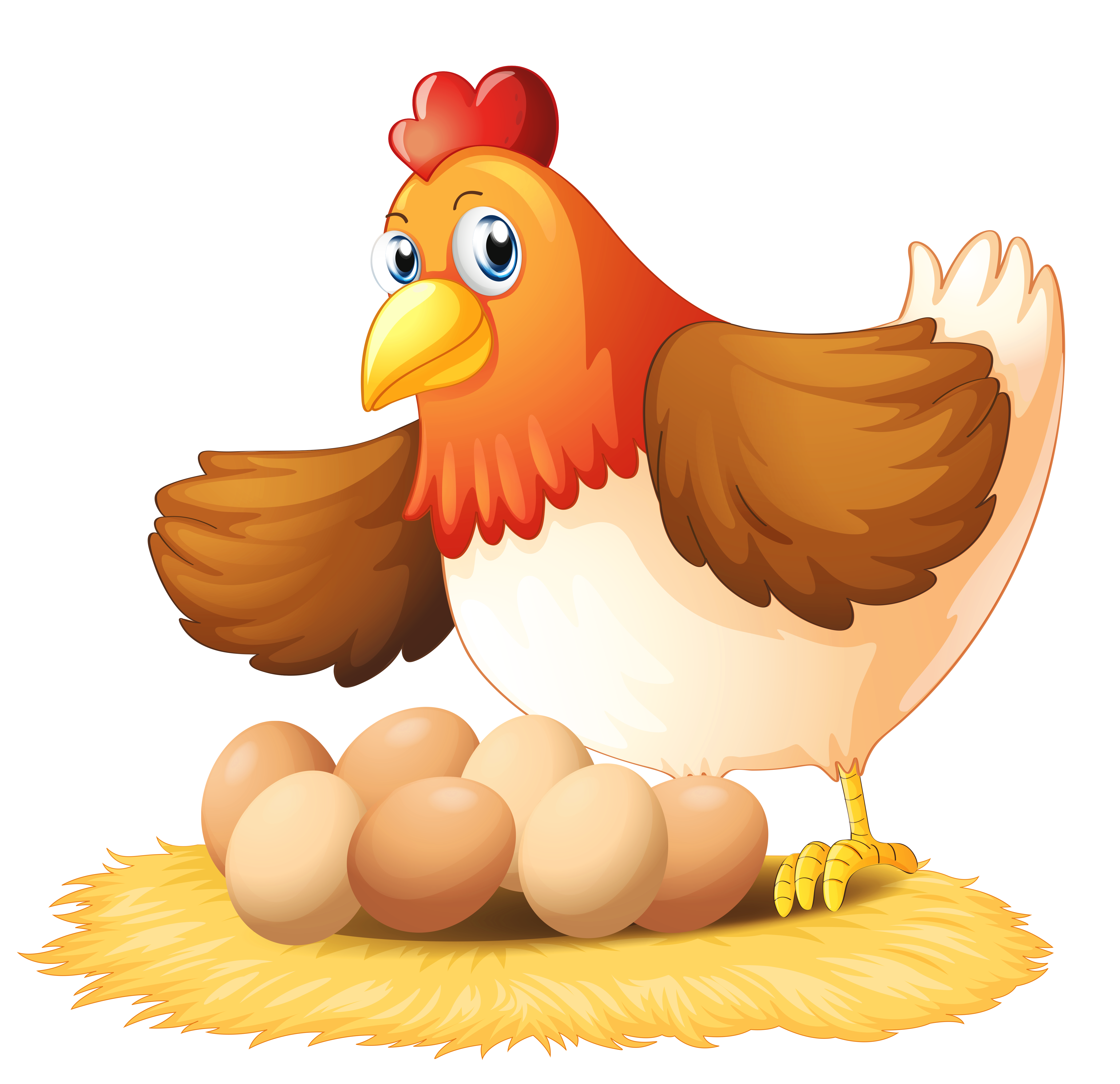 Chicken Clipart Hen Picture 179350 Chicken Clipart Hen