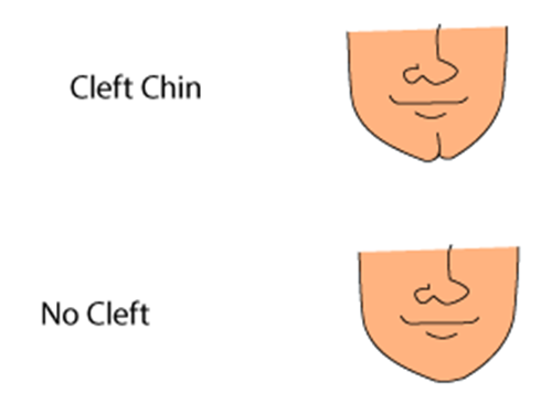 Chin clipart cleft chin, Picture #2356988 chin clipart cleft chin