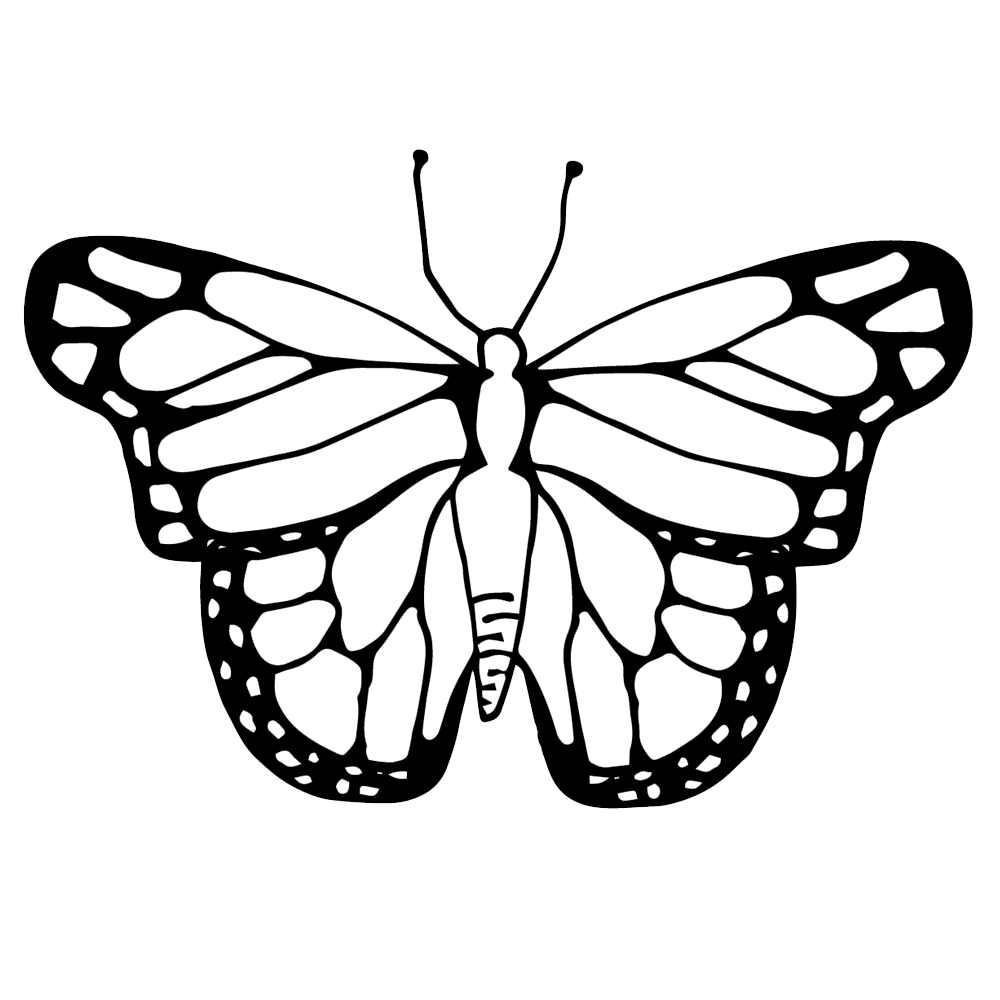 Preschool Clipart Butterfly Picture 1949254 Preschool Clipart Butterfly