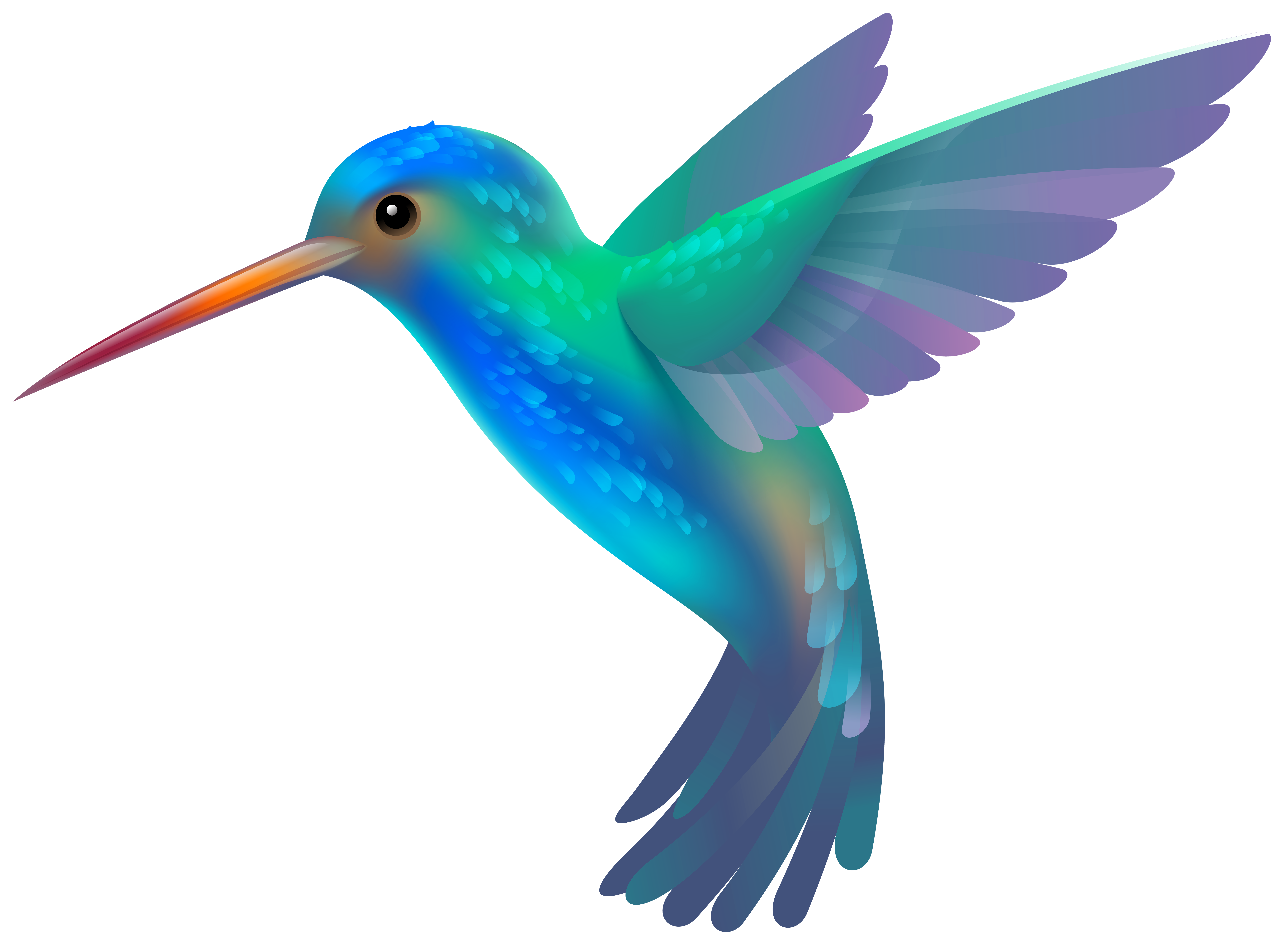 Clipart Bird Foot Picture 406428 Clipart Bird Foot Clipart Bird Foot Picture 406428 Clipart Bird Foot