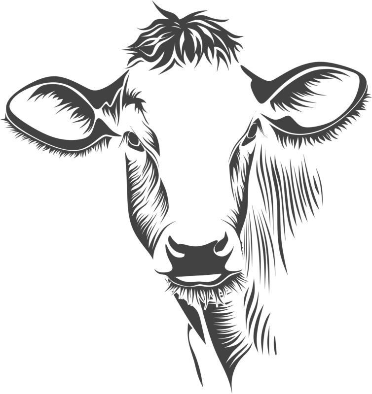 Clipart cow outline, Clipart cow outline Transparent FREE for download ...