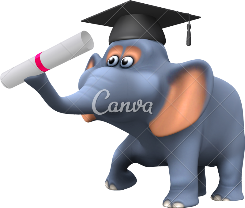 Elephant clipart graduation, Elephant graduation Transparent FREE for ...