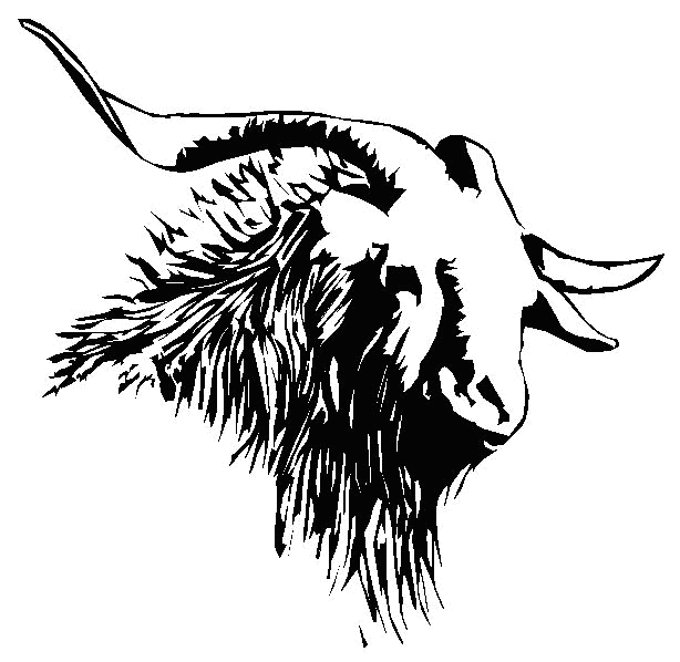 Clipart goat chivo, Clipart goat chivo Transparent FREE for download on ...