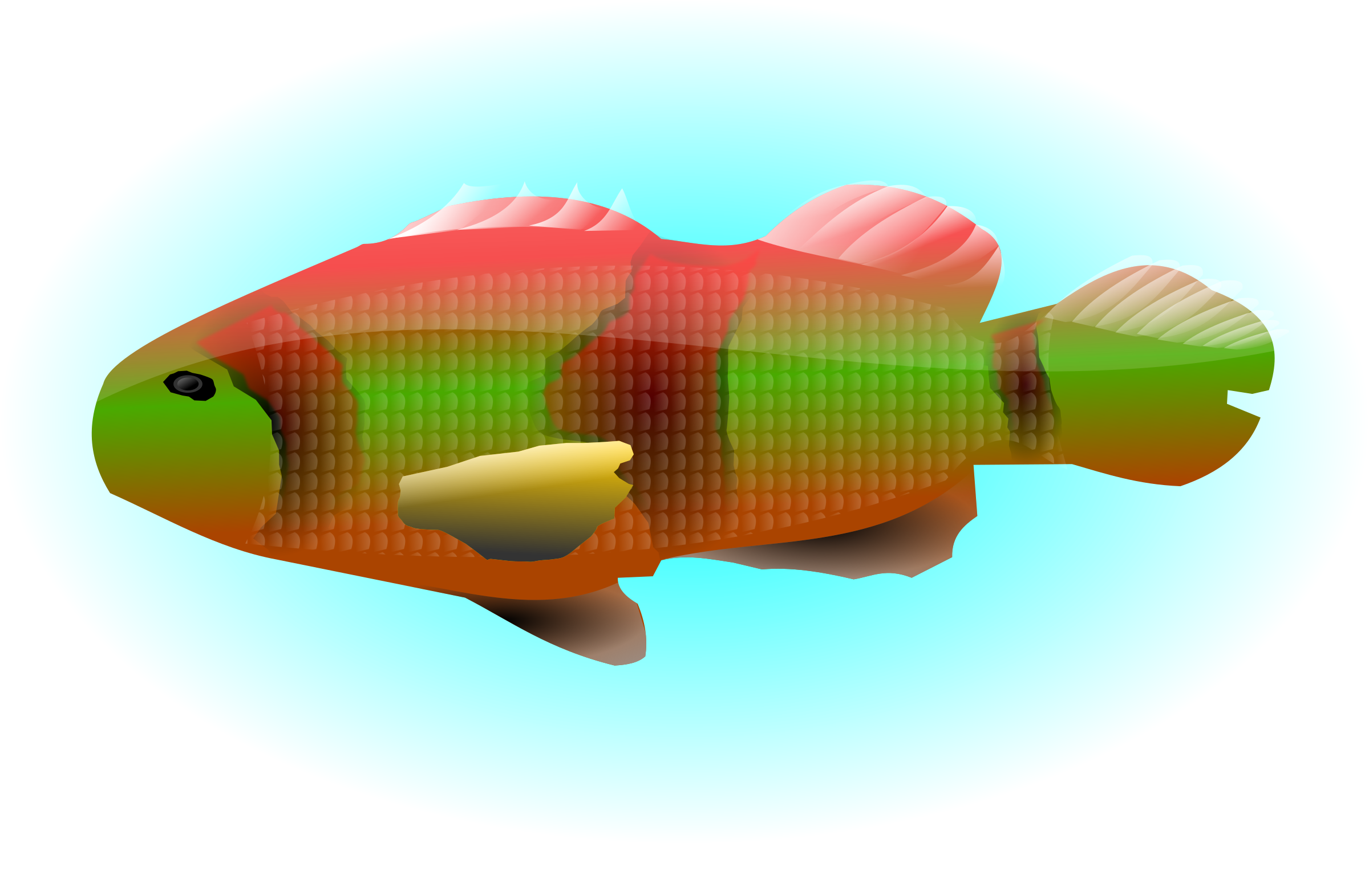 Clipart lake fish clipart, Clipart lake fish Transparent FREE for ...