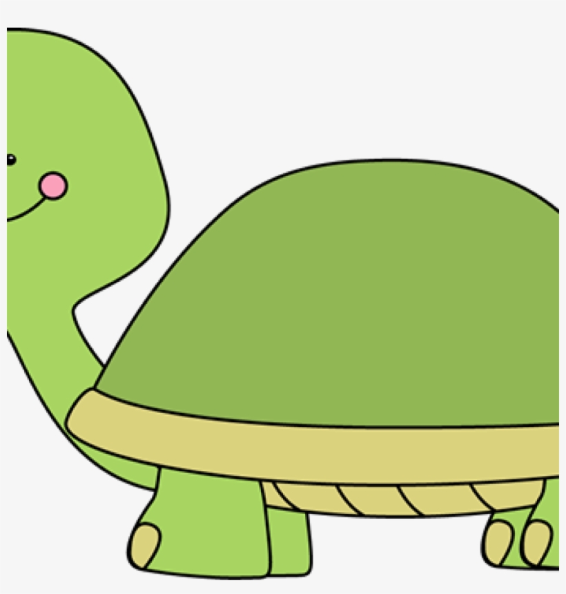 Clipart turtle math, Clipart turtle math Transparent FREE for download ...