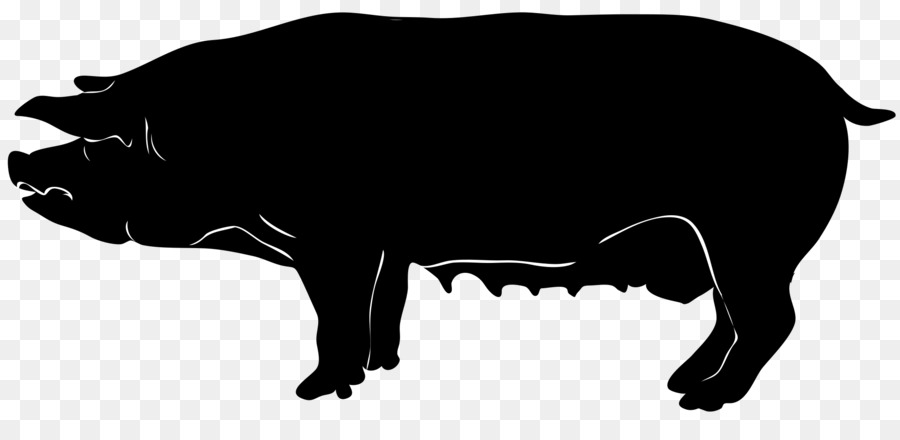 Clipart pig shadow, Clipart pig shadow Transparent FREE for download on ...