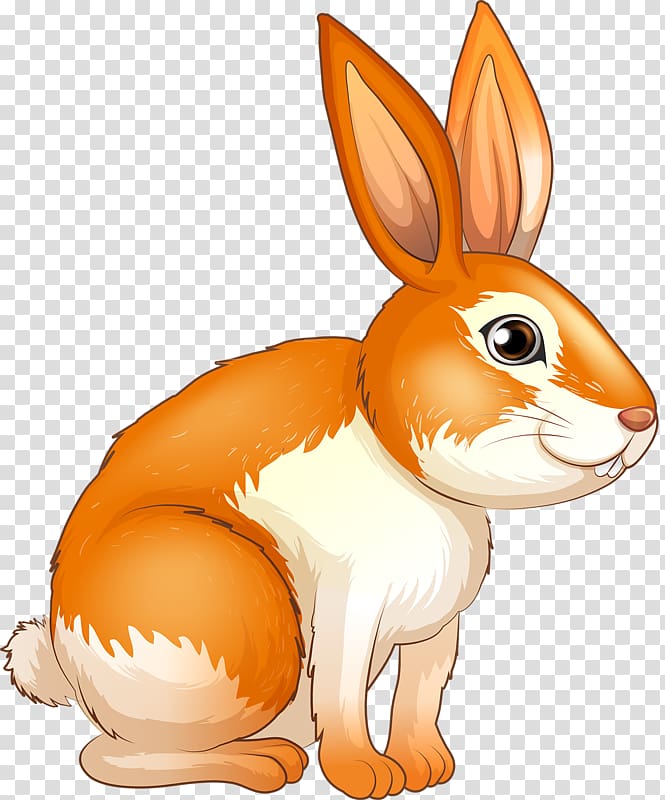 Clipart rabbit orange, Clipart rabbit orange Transparent FREE for ...