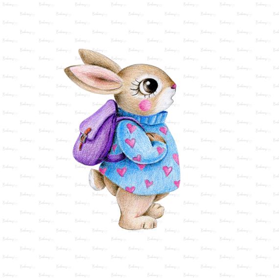 Clipart rabbit school, Clipart rabbit school Transparent FREE for ...