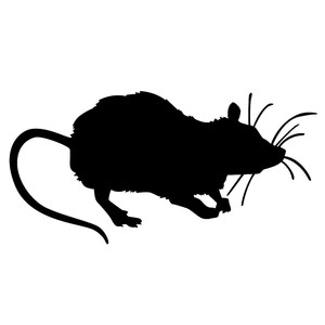Clipart rat halloween, Clipart rat halloween Transparent FREE for ...