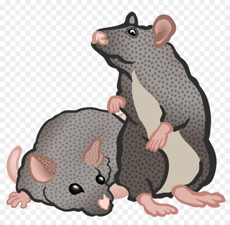 Clipart rat rodent, Clipart rat rodent Transparent FREE for download on ...