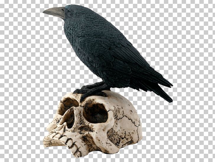 Crow clipart skeleton, Picture #2570165 crow clipart skeleton