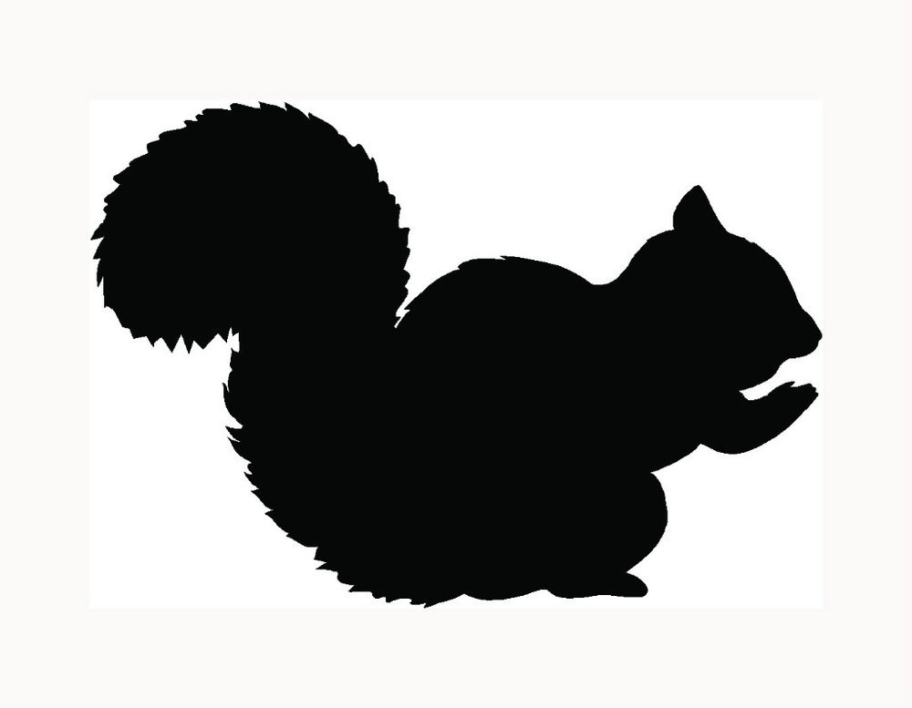 Clipart squirrel shadow, Clipart squirrel shadow Transparent FREE for download on WebStockReview ...