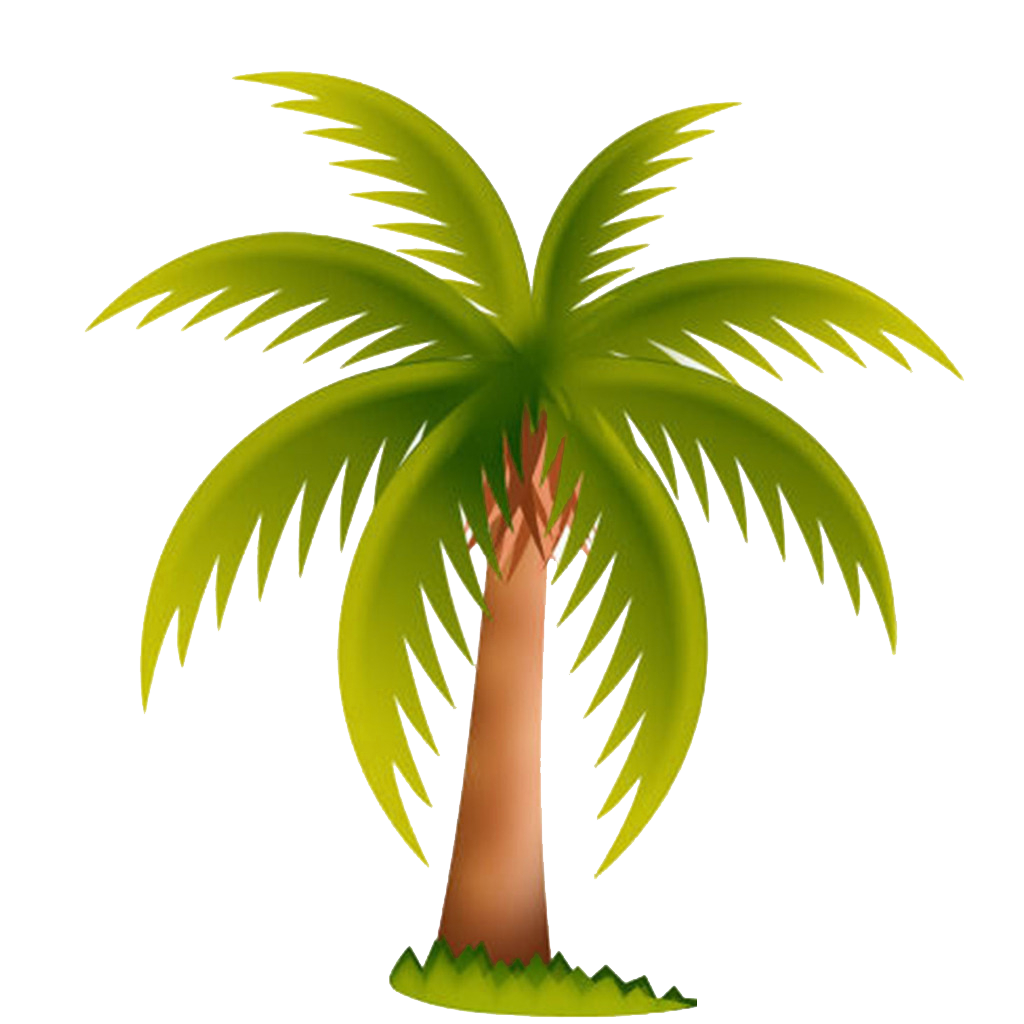 Coconut Clipart Date Tree Coconut Date Tree Transparent FREE For