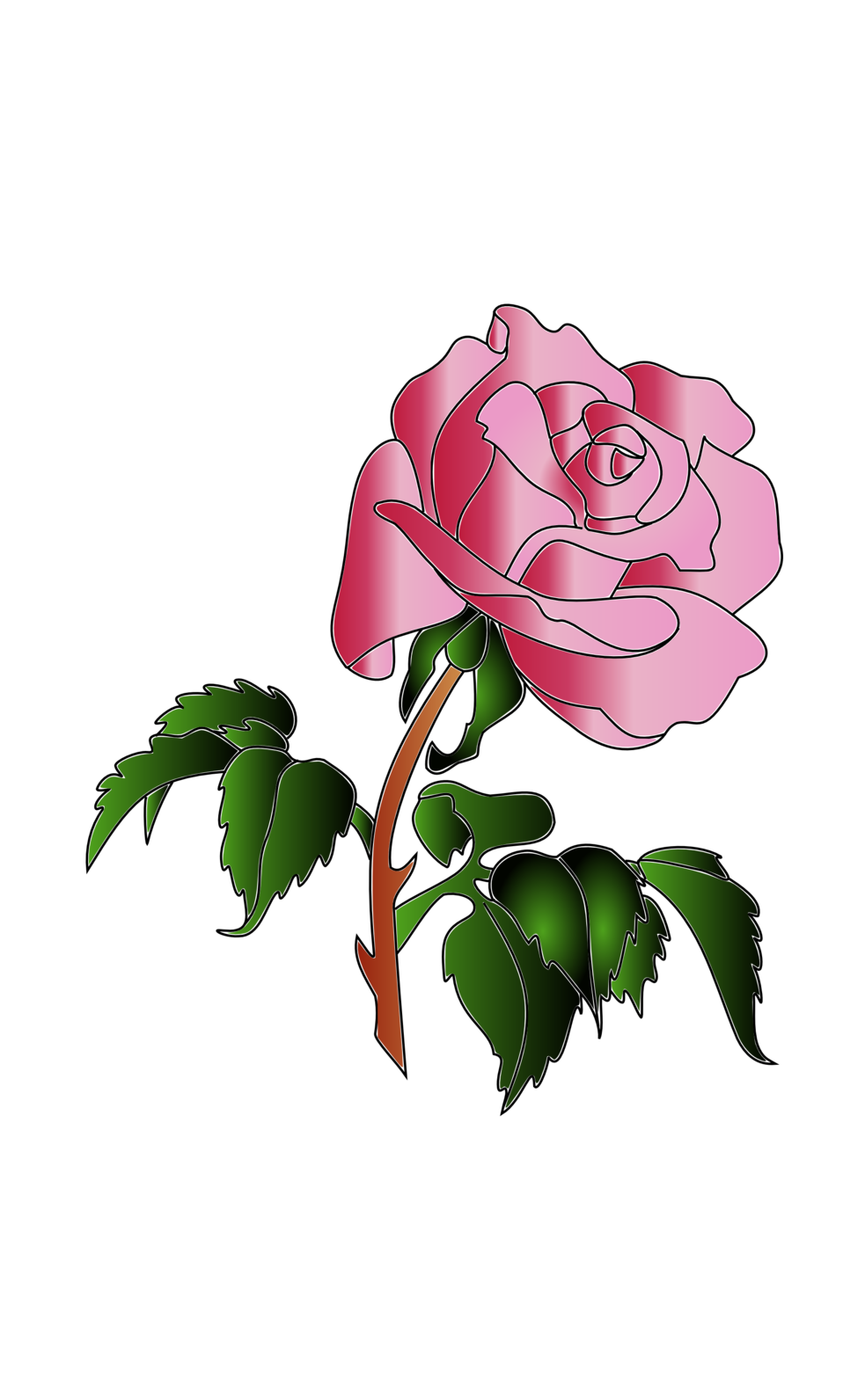 Colors clipart rose, Colors rose Transparent FREE for download on ...