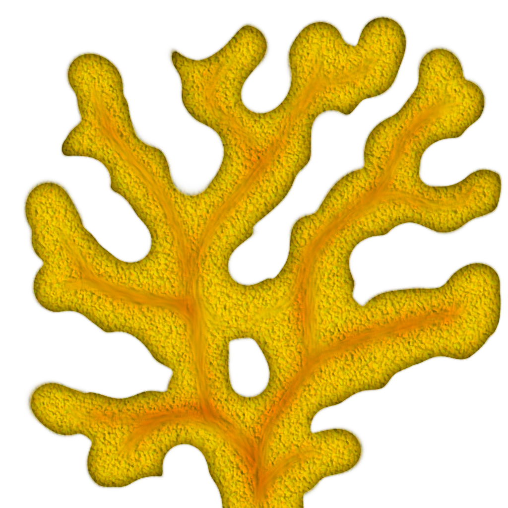 Coral clipart yellow coral, Coral yellow coral Transparent FREE for ...