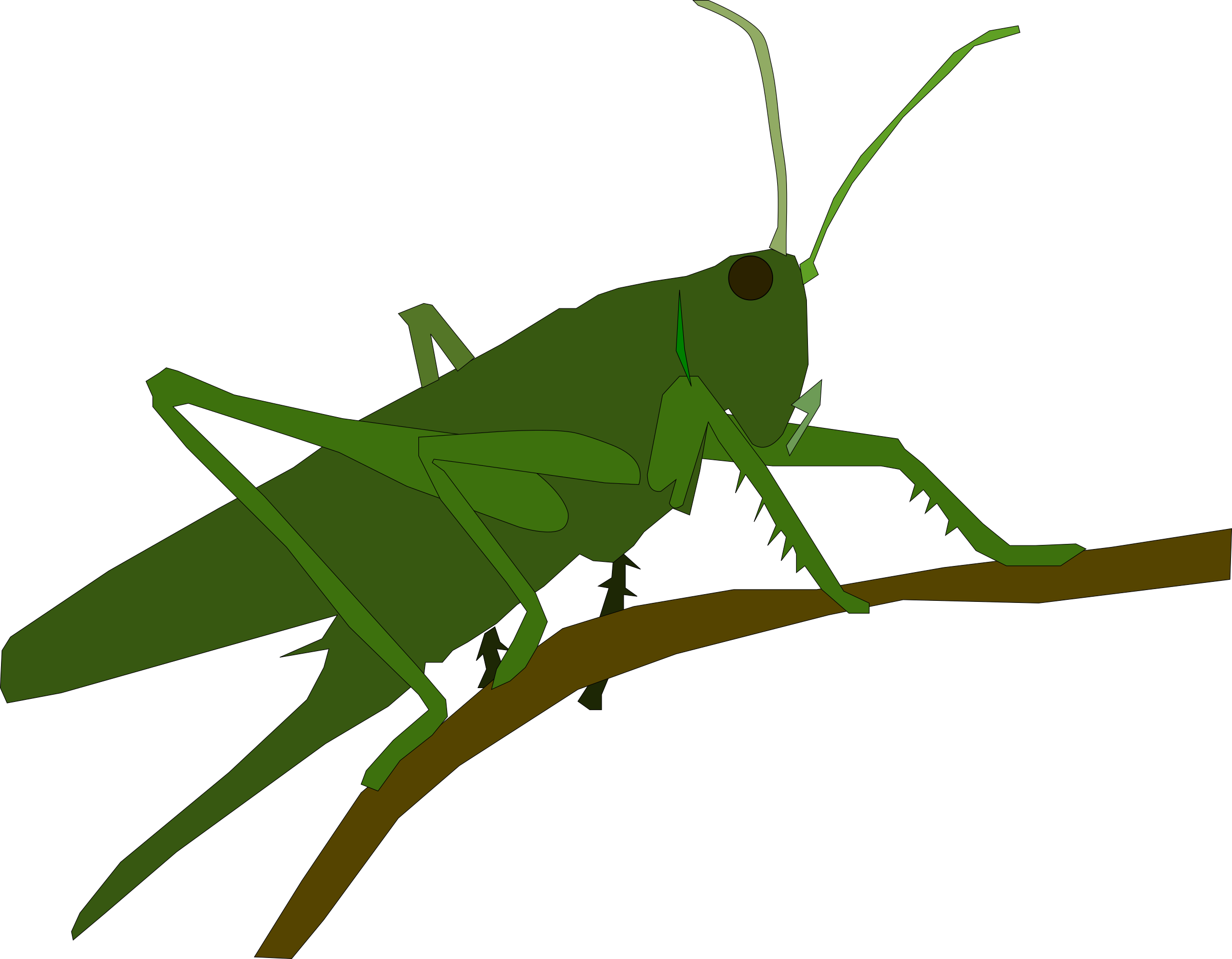 Grasshopper Clipart Love Grasshopper Love Transparent FREE For