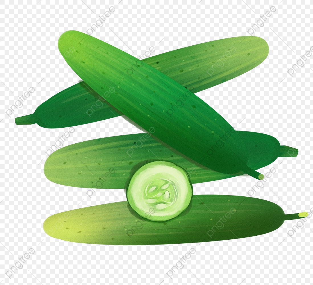Cucumber clipart file, Cucumber file Transparent FREE for download on ...