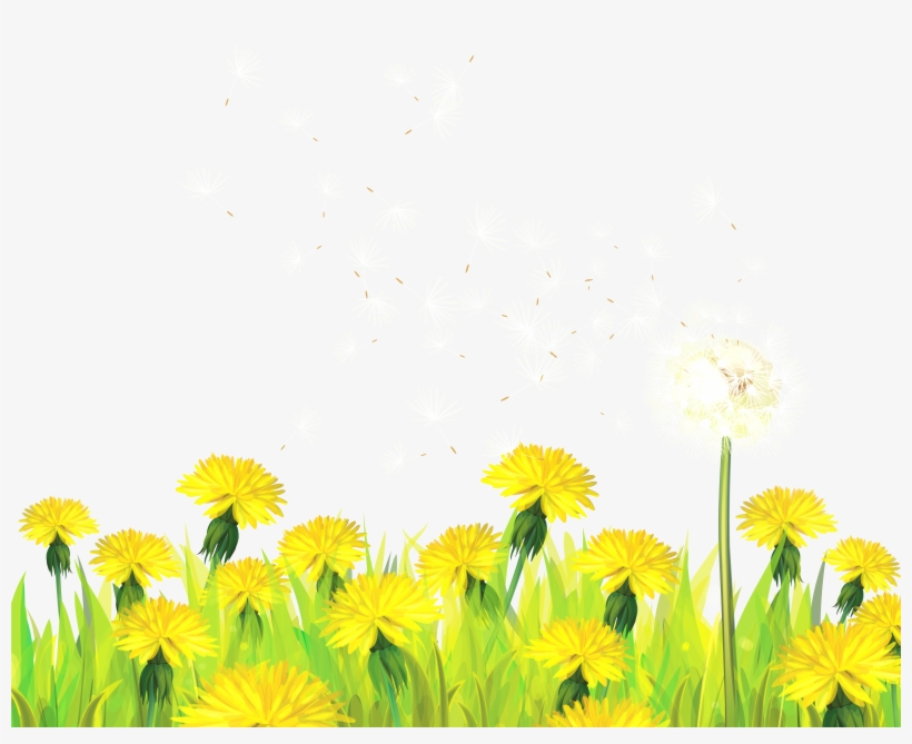 Dandelion clipart border, Dandelion border Transparent FREE for ...