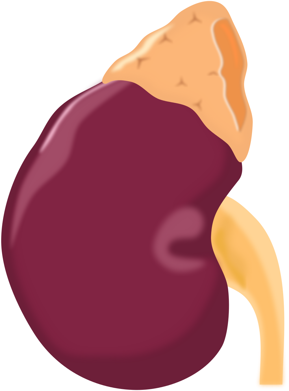 Disease Clipart Cure Picture 915080 Disease Clipart Cure Disease Clipart Cure Picture 915080 Disease Clipart Cure