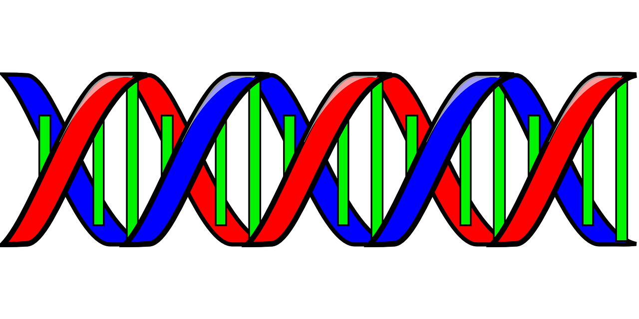 Dna clipart genetic code, Dna genetic code Transparent FREE for ...
