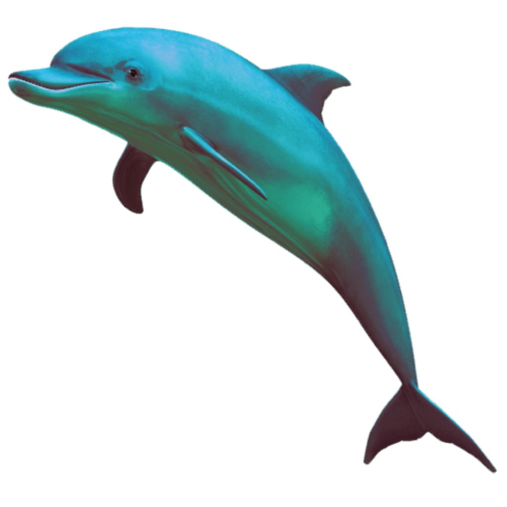 Dolphin clipart diving dolphin, Dolphin diving dolphin Transparent FREE ...