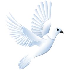 Dove clipart sympathy, Picture #2624028 dove clipart sympathy