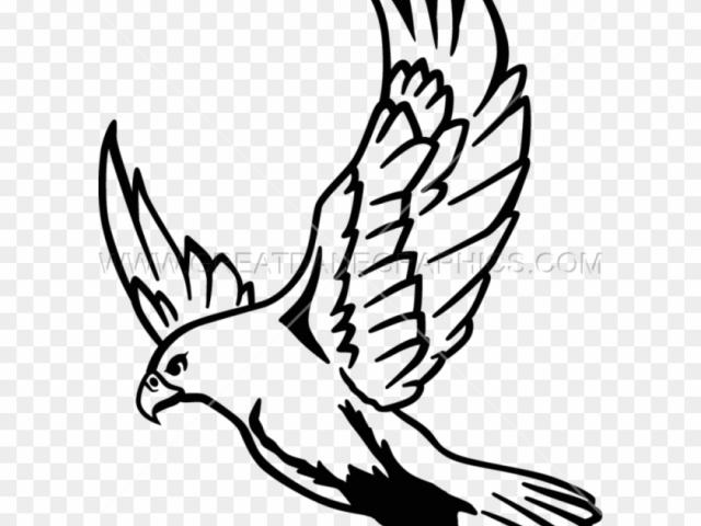 Falcon clipart baaz, Picture #2677931 falcon clipart baaz