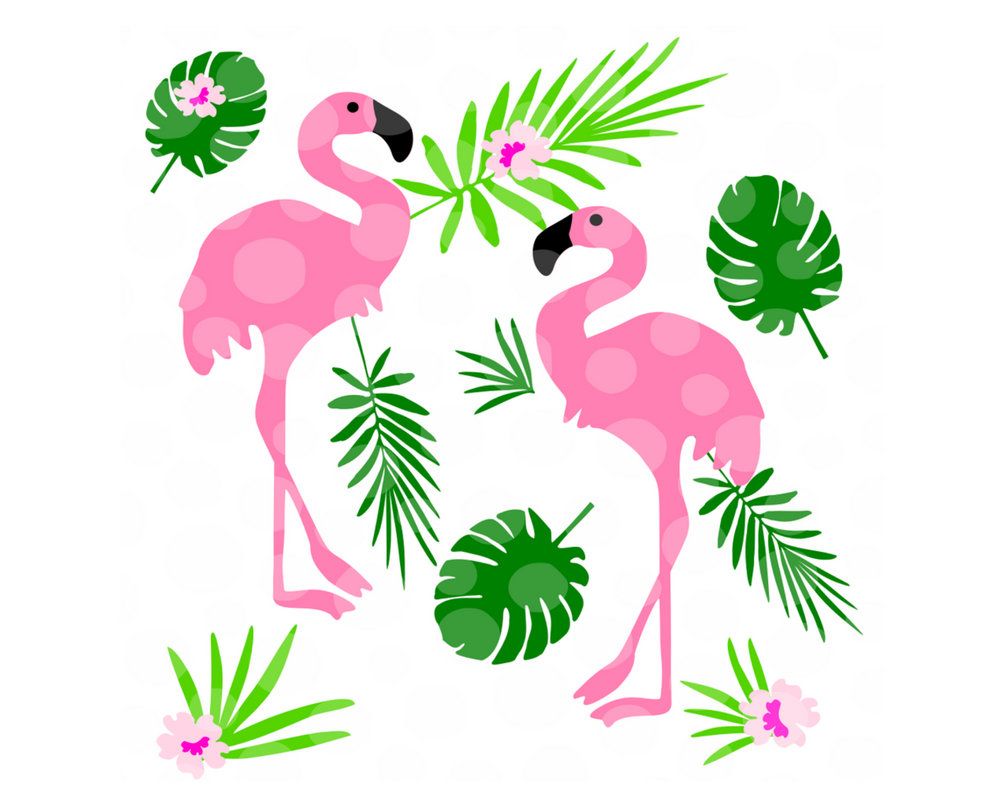 Flamingo Clipart Pdf Picture 2708714 Flamingo Clipart Pdf Flamingo Clipart Pdf Picture 2708714 Flamingo Clipart Pdf