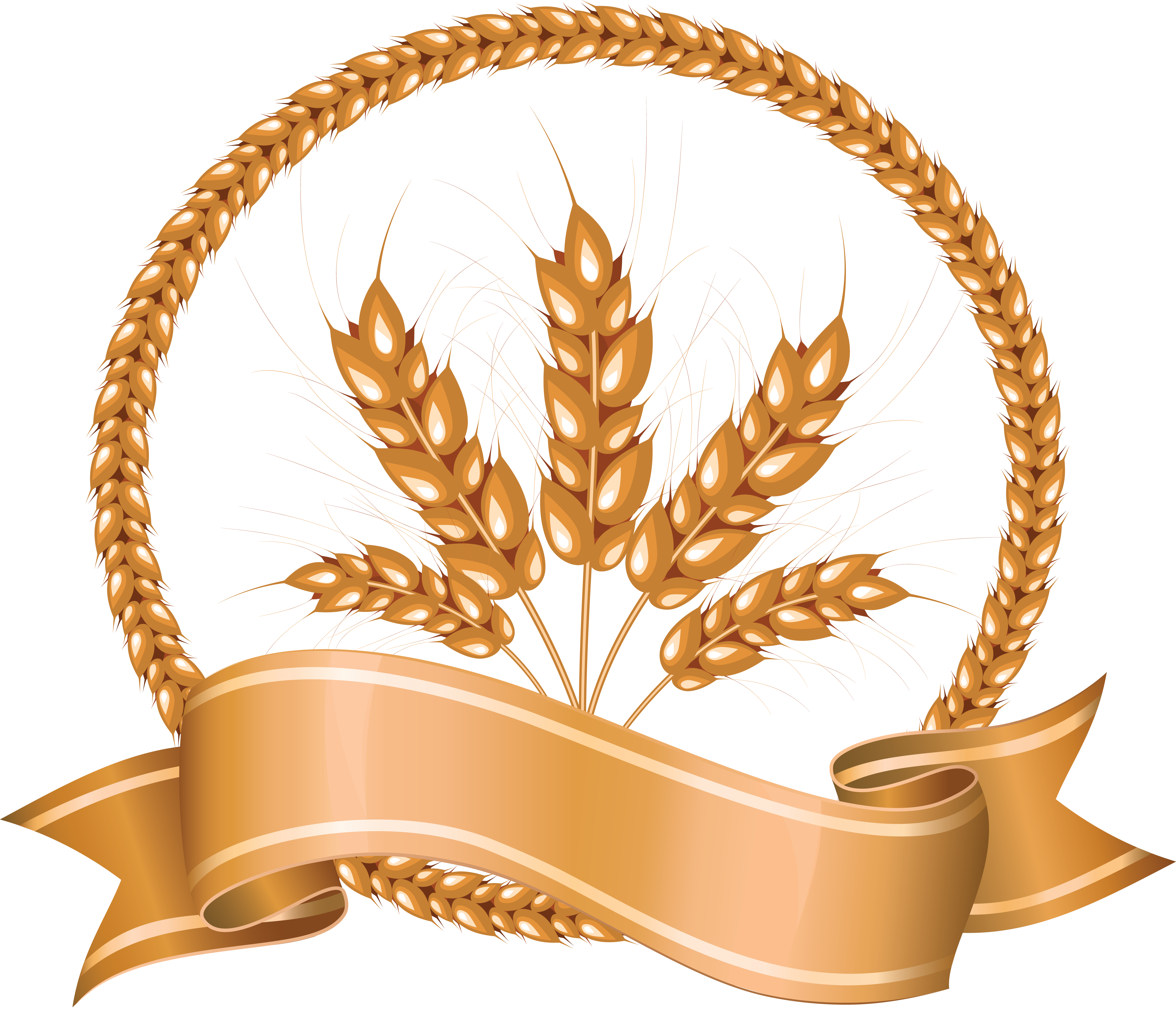 Grains Clipart Protein Picture 1247521 Grains Clipart Protein Grains Clipart Protein Picture 1247521 Grains Clipart Protein
