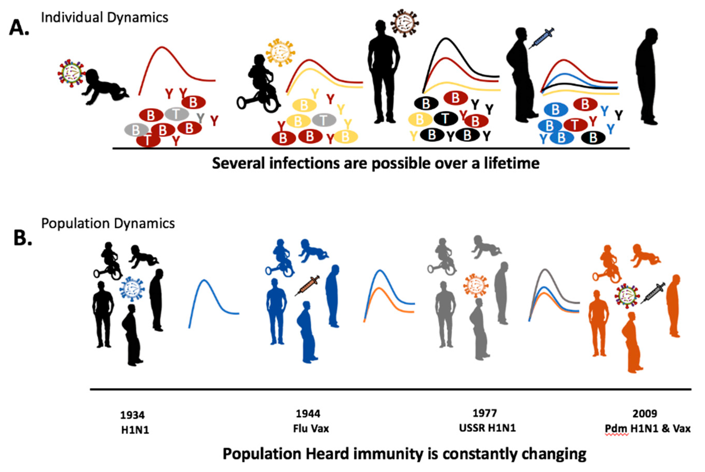 Flu clipart low immunity, Flu low immunity Transparent FREE for ...