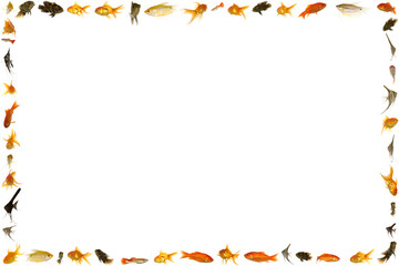 Goldfish clipart border, Goldfish border Transparent FREE for download ...