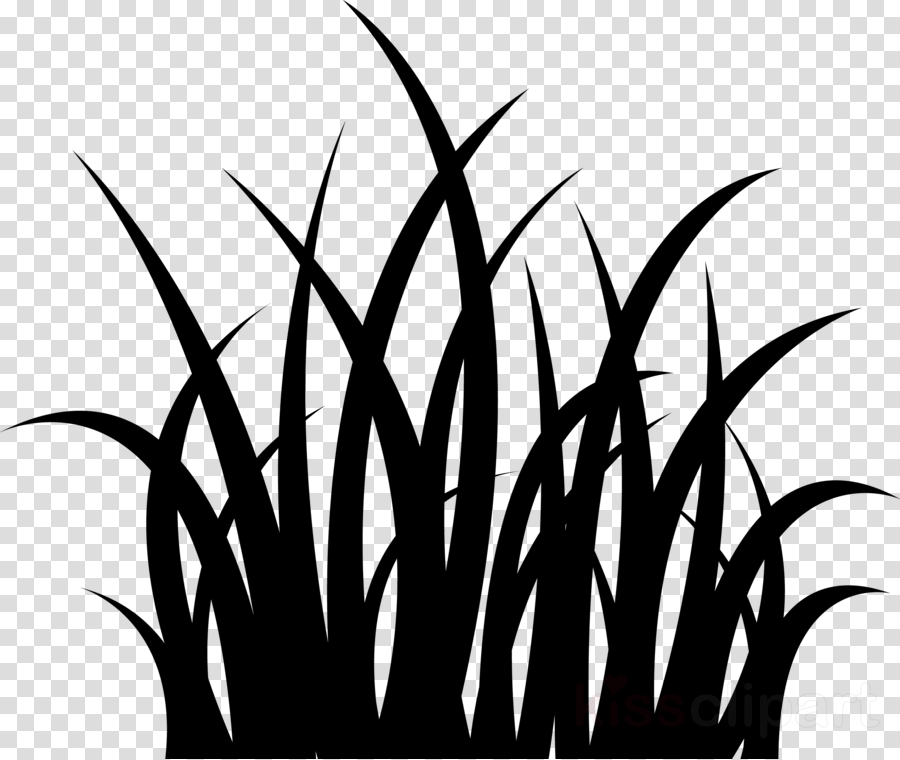 Grass Clipart Illustration Grass Illustration Transparent FREE For