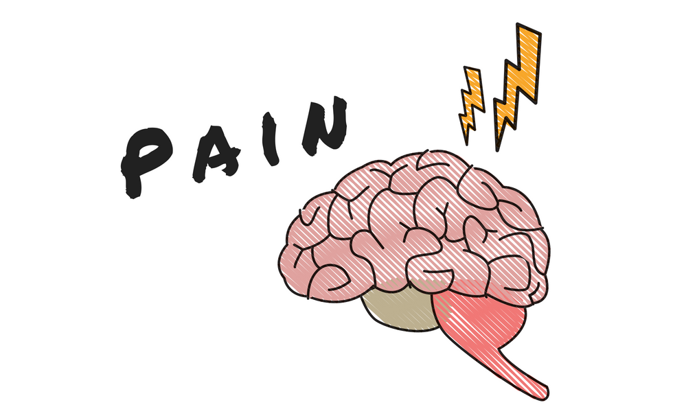 Headache clipart brain pain, Headache brain pain Transparent FREE for ...