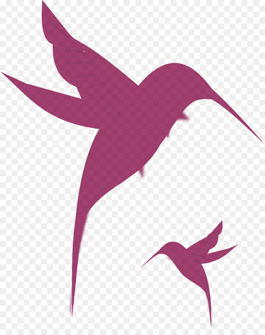 Hummingbird clipart pink, Hummingbird pink Transparent FREE for ...