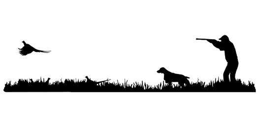 Hunter clipart pheasant shooting, Picture #2835035 hunter clipart ...