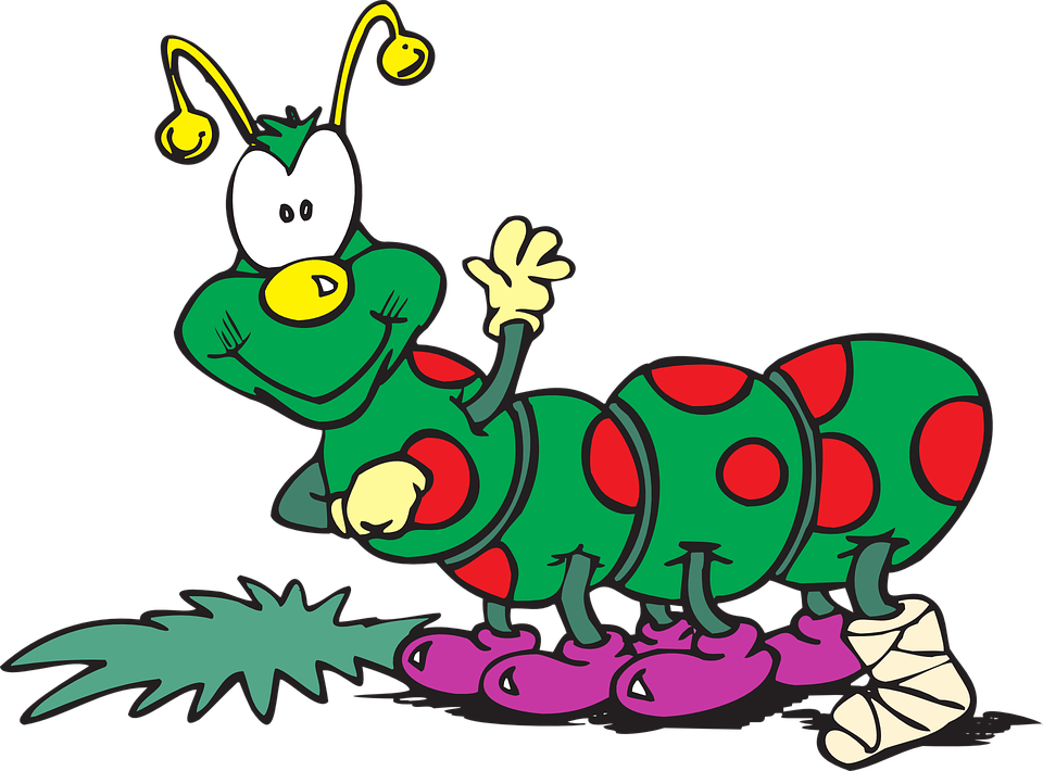 Inchworm clipart earthworm, Inchworm earthworm Transparent FREE for ...