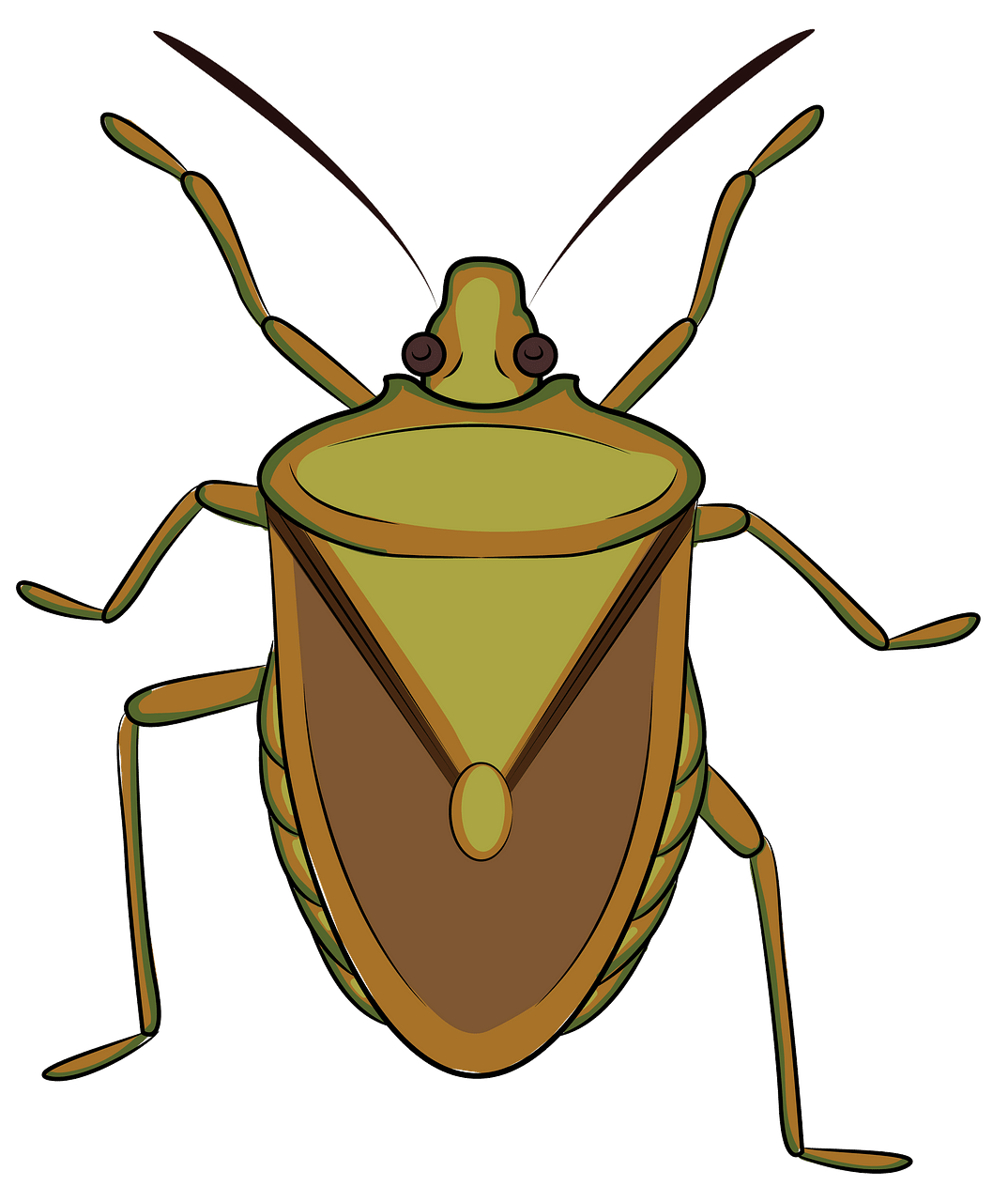 Insects clipart stink bug, Picture #2848731 insects clipart stink bug