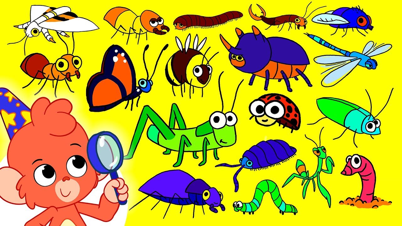 Insects clipart invertebrate animal, Insects invertebrate animal ...