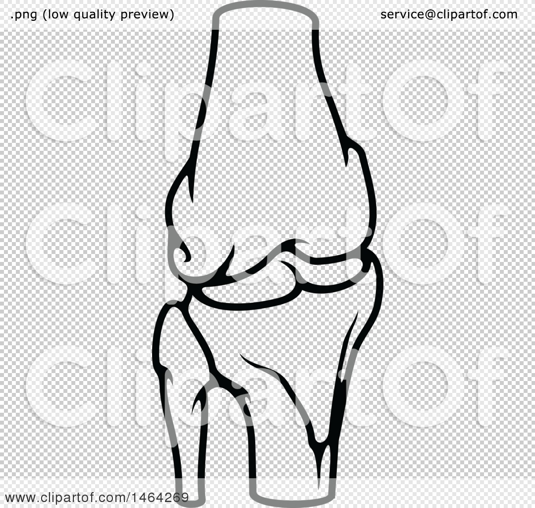 Knee clipart outline, Picture #2885400 knee clipart outline