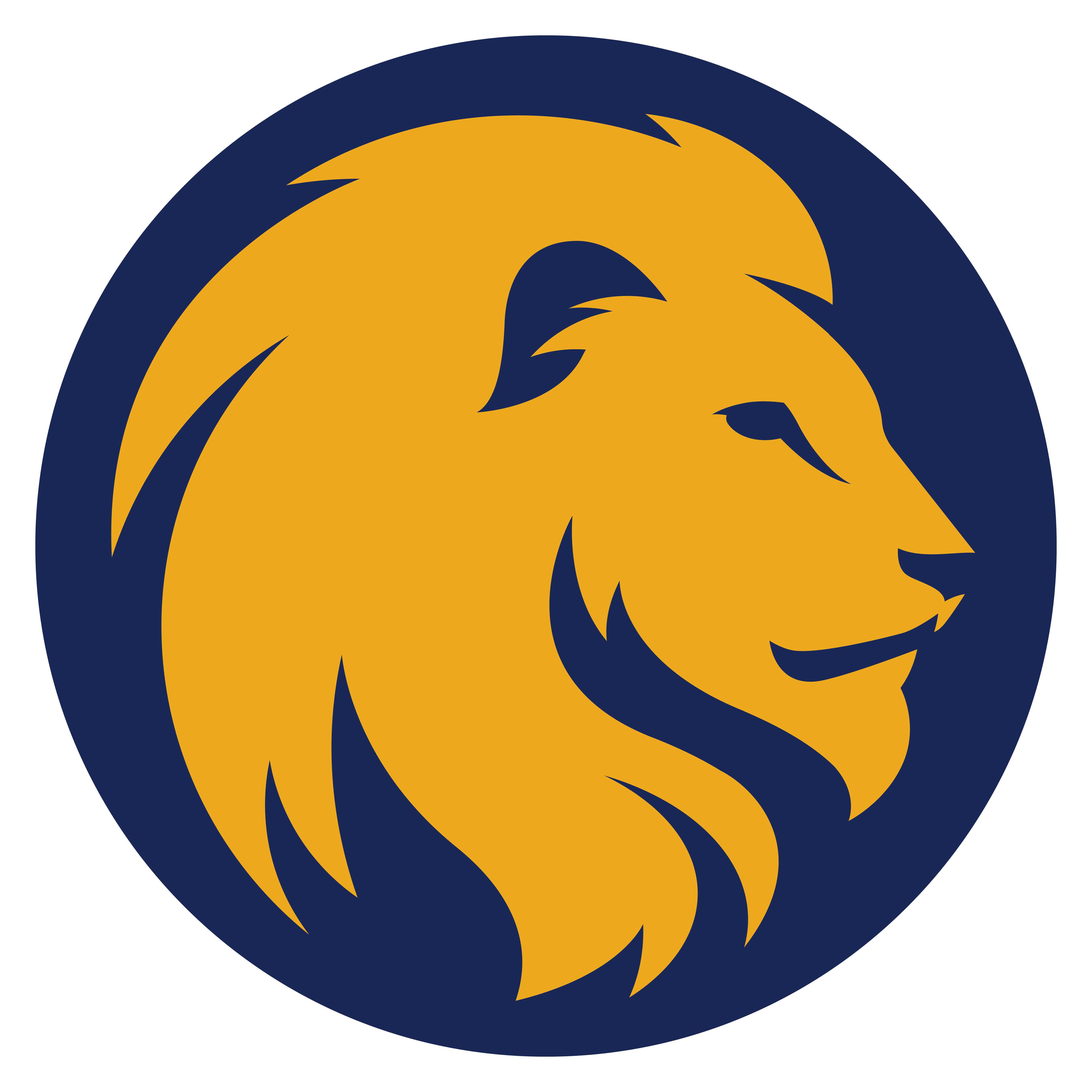 Lions Clipart Lion Head Lions Lion Head Transparent FREE For Download Lions Clipart Lion Head Lions Lion Head Transparent FREE For Download