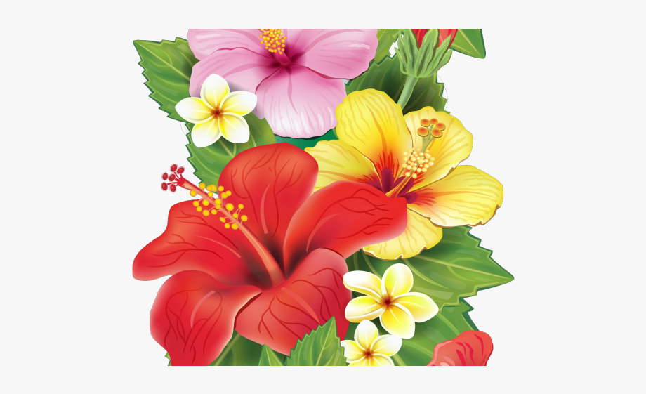 Moana clipart exotic flower, Moana exotic flower Transparent FREE for ...